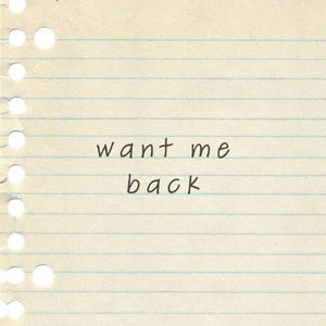 At20 - Want Me Back Lyrics Meaning | Lyreka