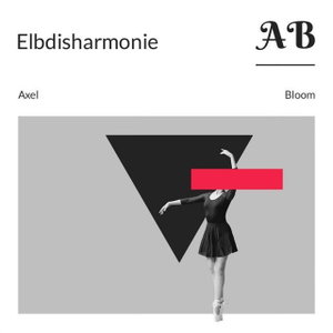 Axel Bloom - Elbdisharmonie Lyrics Meaning | Lyreka
