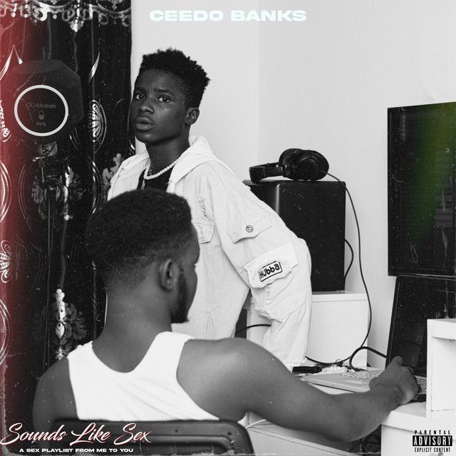 Ceedo Banks - Away Lyrics Meaning | Lyreka