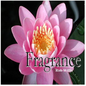 Rob Willis - Fireflies Lyrics Meaning | Lyreka